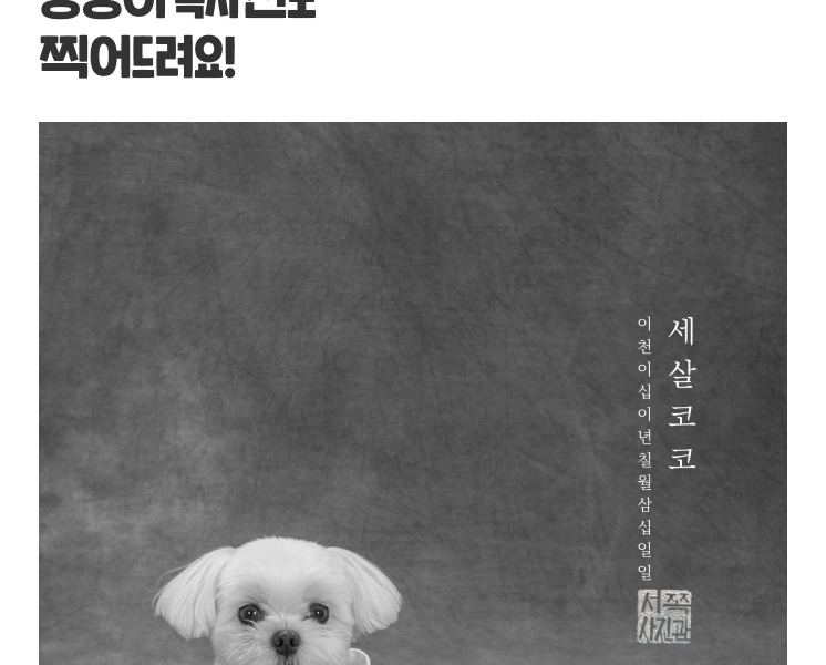 반려생활 [제주] 해녀컨셉 스튜디오 사진촬영